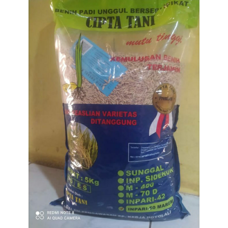 Jual benih padi terbaru INPARI 50 MAREM label biru tahan blast kemasan ...