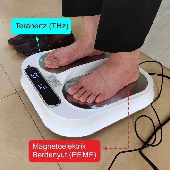 Jual Alat Kesehatan OlyLife THz TERA-P90 | Shopee Indonesia