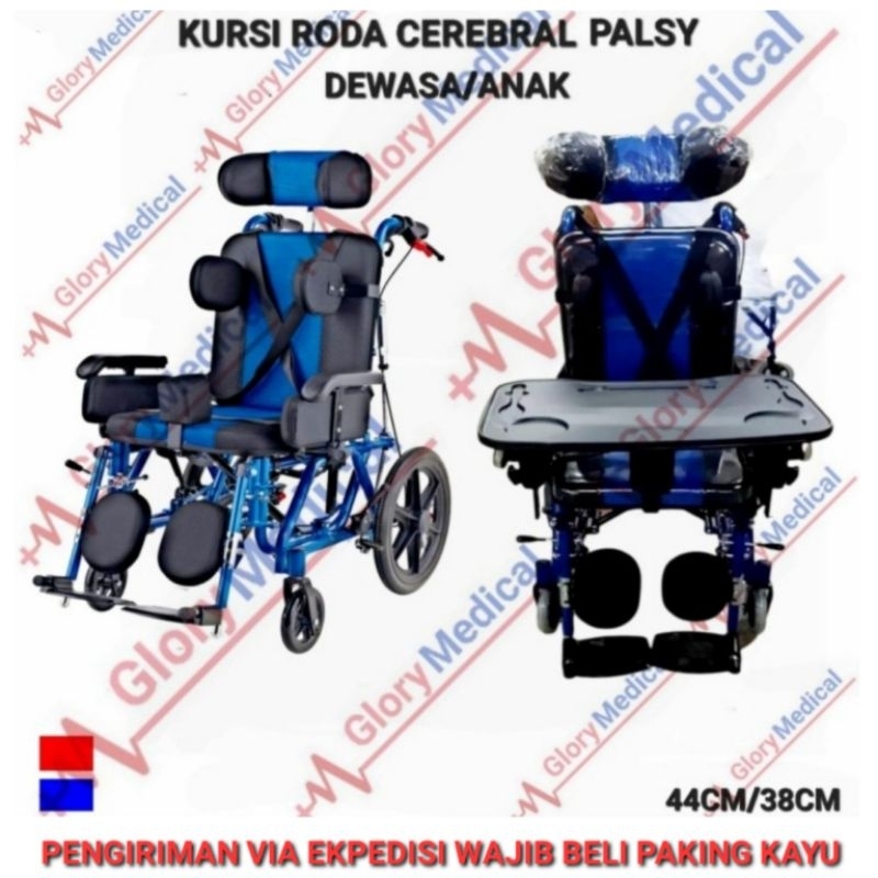 Jual Kursi Roda Cerebral Palsy/Reclining/Berkebutuhan Khusus Sella ...
