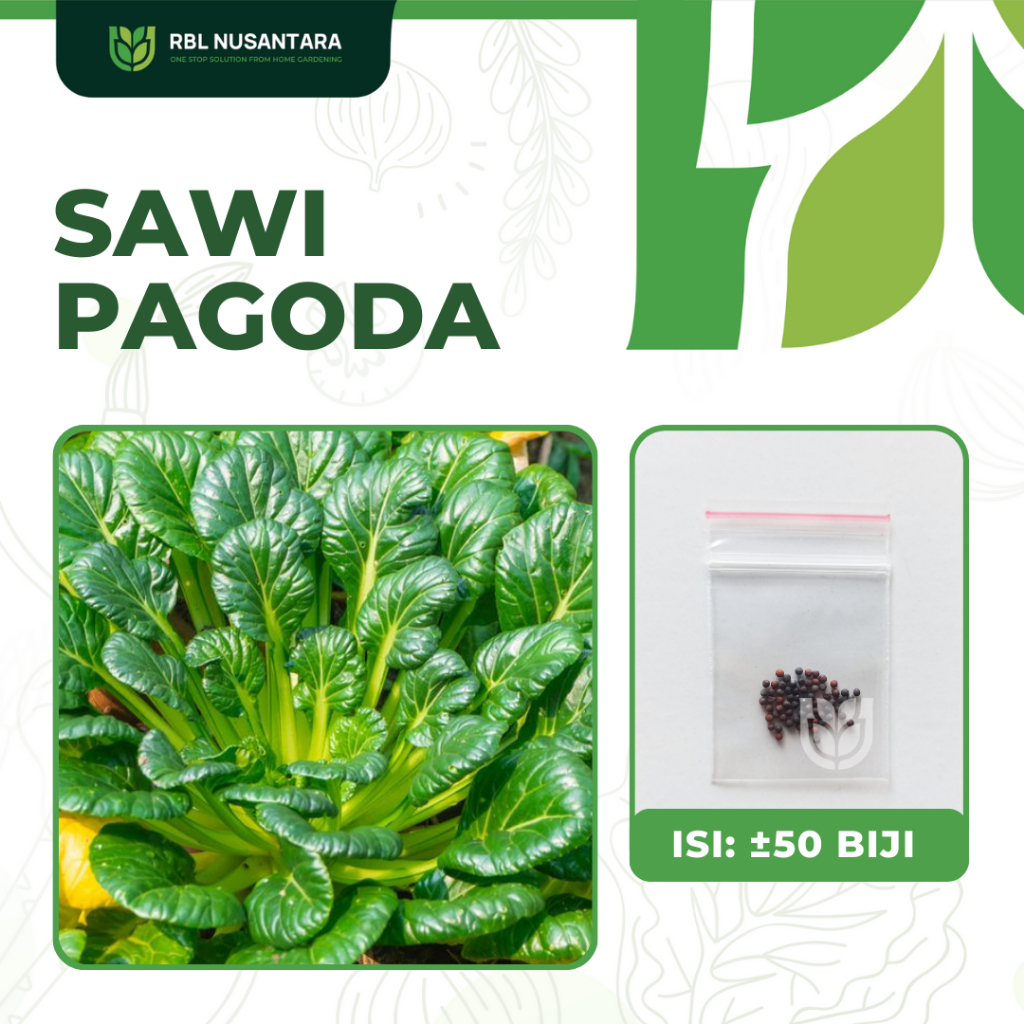 Jual 50 Benih Sawi Pagoda F1 Ta Ke Cai Known you Seed Sayur Sayuan Isi ...