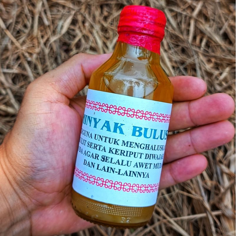 Jual Minyak Bulus Asli Kalimantan Botol Besar 150 ml | Shopee Indonesia