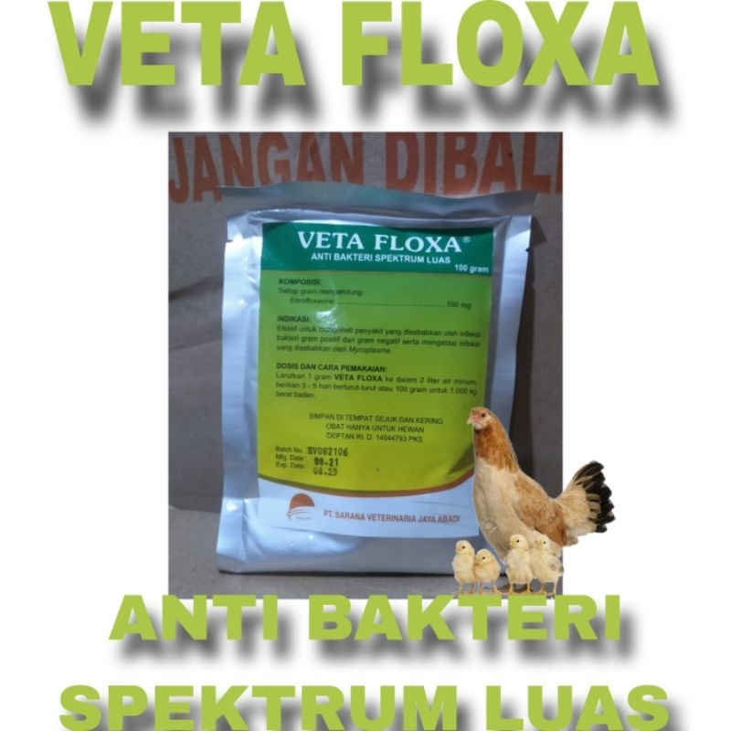 Jual VETA FLOXA WSP 100 gram- Obat ayam Obat ternak- anti bakteri ...