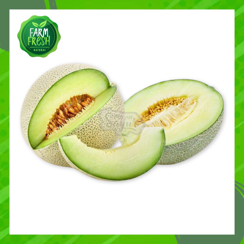 Jual KIRIM INSTAN Buah Melon / 500 Gram | Shopee Indonesia