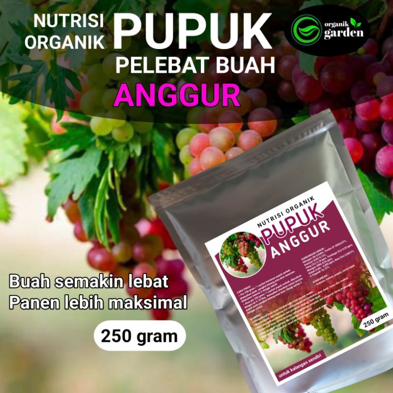 Jual pupuk pelebat buah ANGGUR | booster nutrisi organik 250 gram | Shopee Indonesia