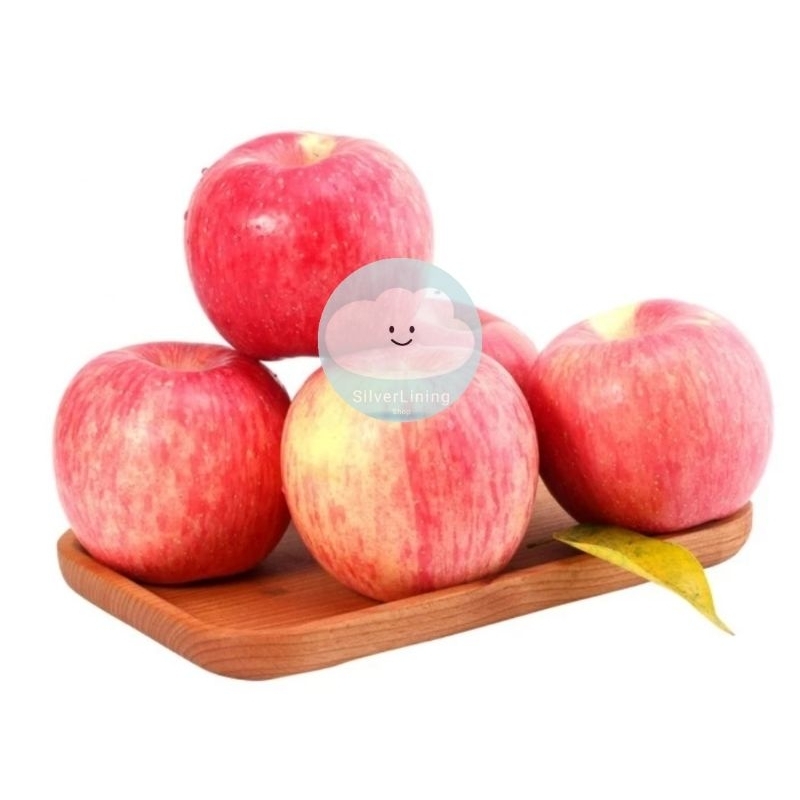 Jual APEL FUJI CINA / APPLE FUJI CHINA PER KG | Shopee Indonesia
