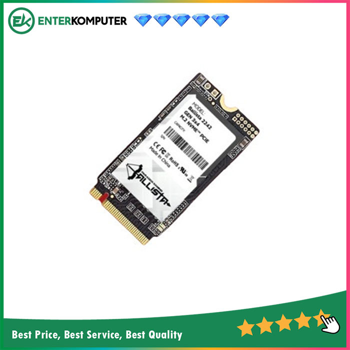 Jual Paradox Gaming Ballista SSD 512GB M.2 NVMe 2242 / SSD M.2 512GB | Shopee Indonesia
