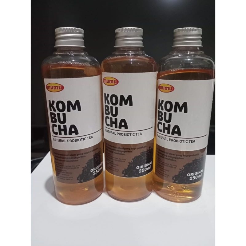 Jual kombucha original minuman 250 ml | Shopee Indonesia