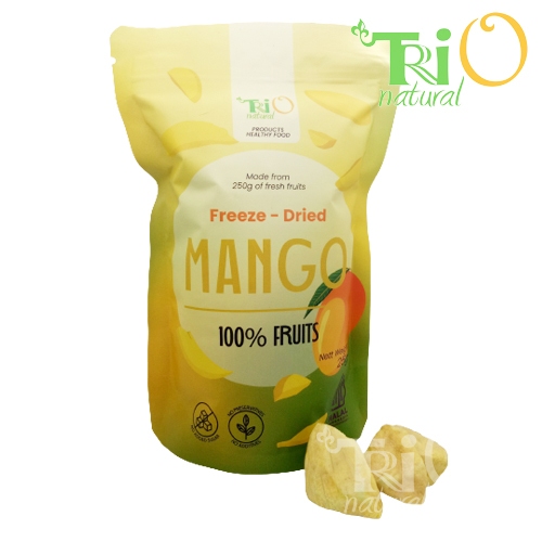 Jual Freeze Dried Fruit - Mango 25 gram | Shopee Indonesia