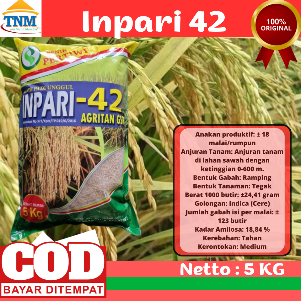 Jual Biji Padi Inpari 42 Premium kemasan 5KG | Shopee Indonesia