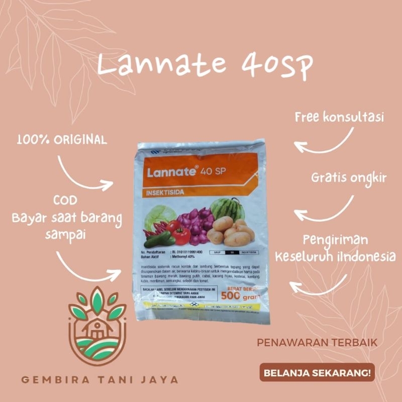 Jual INSEKTISIDA LANNATE 40sp kemasan 500gr | Shopee Indonesia