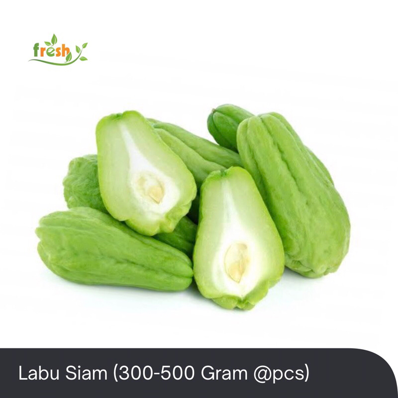 Jual Labu Siam (Harga Satuan) | Shopee Indonesia