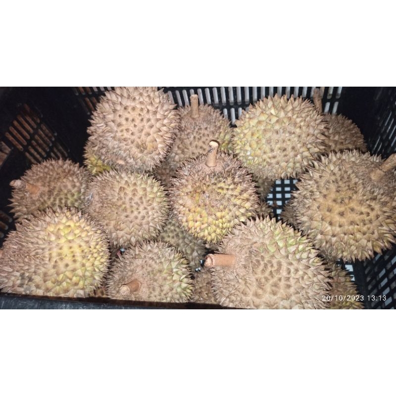 Jual Durian premium senduro | Shopee Indonesia