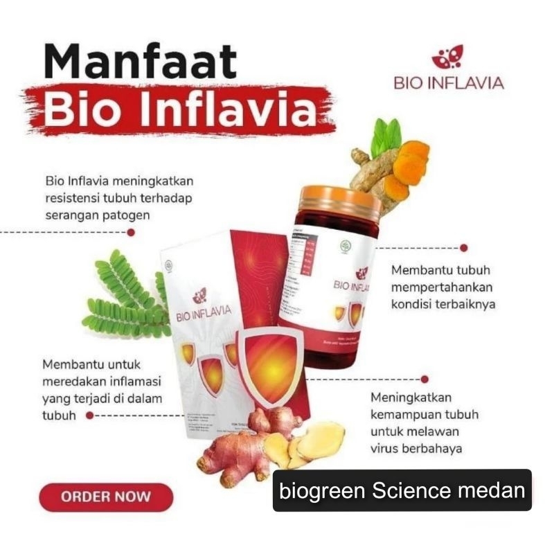 Jual Bio Inflavia Biogreen Herbal Anti masuk Angin, kembung, Maag dan ...