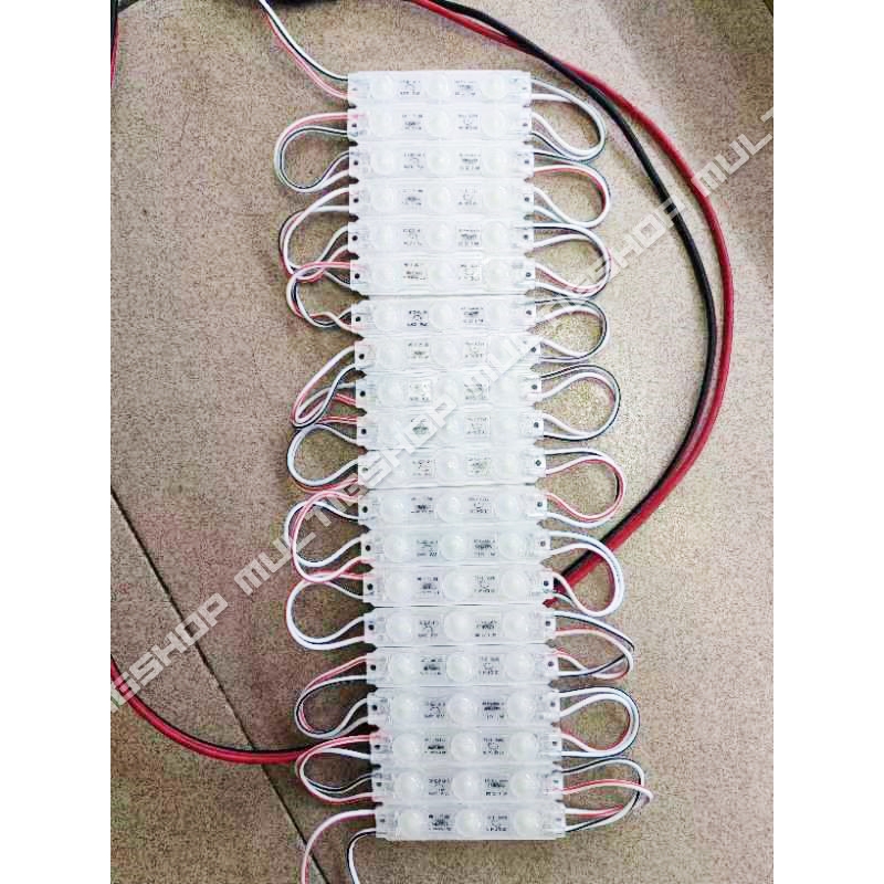 Jual 100Pcs LED Modul 3 Mata Lensa Tipe 6616 12V - Putih 10.000K ...
