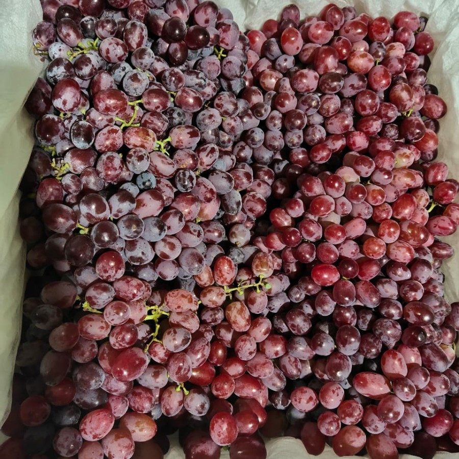 Jual Buah Anggur crimson per kilo | Shopee Indonesia