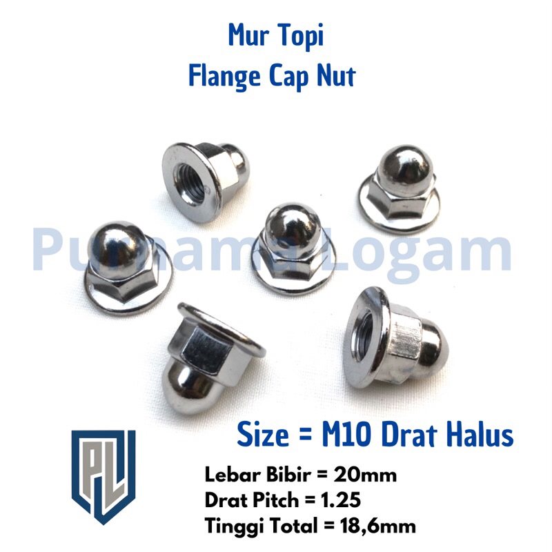 Jual Flange Cap Nut Mur topi M10 ( Mur 14 Drat Halus P1.25 ) Kunci 14 Mur Krom | Shopee Indonesia