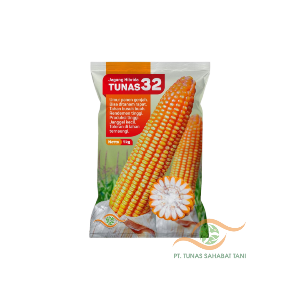 Jual BENIH JAGUNG HIBRIDA TUNAS 32 Kemasan 1 Kg - Benih Jagung Unggulan ...
