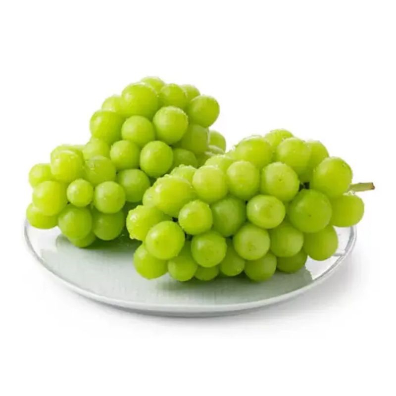 Jual Anggur Shine Muscat Seedless Grape 1 pack | Shopee Indonesia