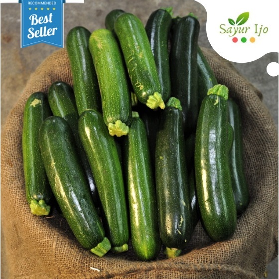 Jual Zucchini 950 - 1000 Gram / Pack Fresh Timun Courgette Summer ...