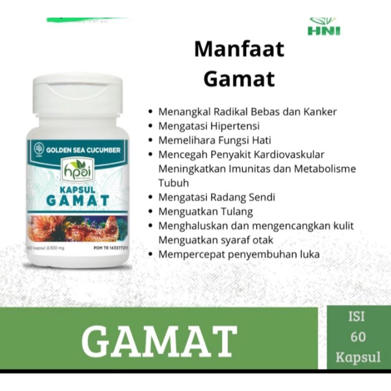 Jual GAMAT kapsul HPAI HNI ,mengatasi sakit pinggang suplemen sendi dan ...