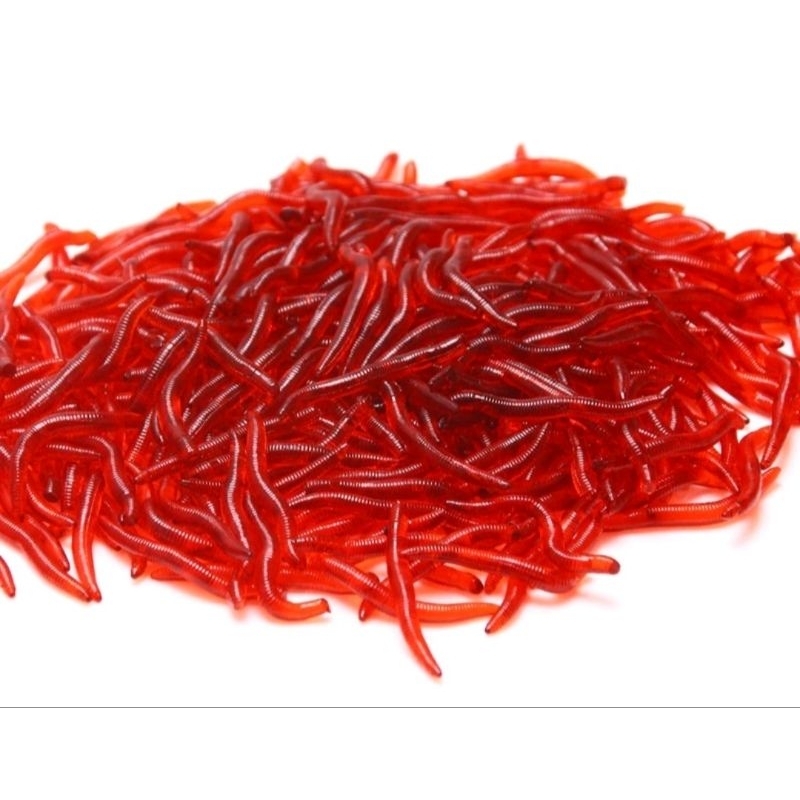 Jual sof bait cacing merah dan glow in the dark 3,5cm original | Shopee ...