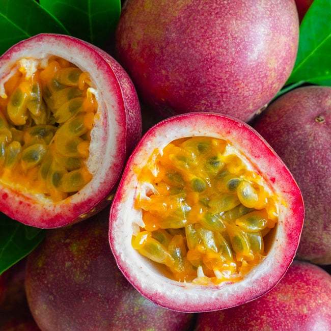 Jual Bibit Benih Buah Markisa Merah (10 Butir) | Shopee Indonesia