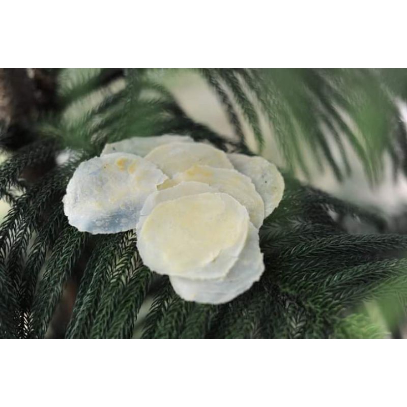 Jual emping melinjo tipis khas limpung kemasan 5kg | Shopee Indonesia