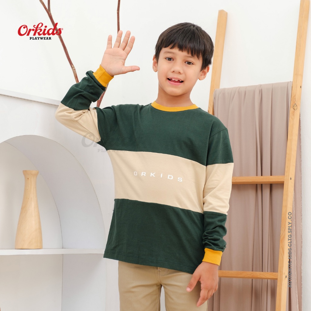 Jual Baju Kaos Anak Lengan Panjang Laki-Laki Umur 1 -12 tahun katun ...