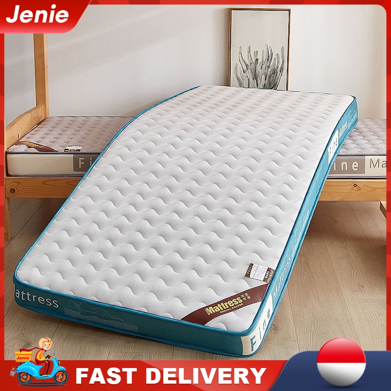 Jual Kasur Busa Kasur Spring Bed Kasur lantai Tebal 10cm Mattress Kasur ...