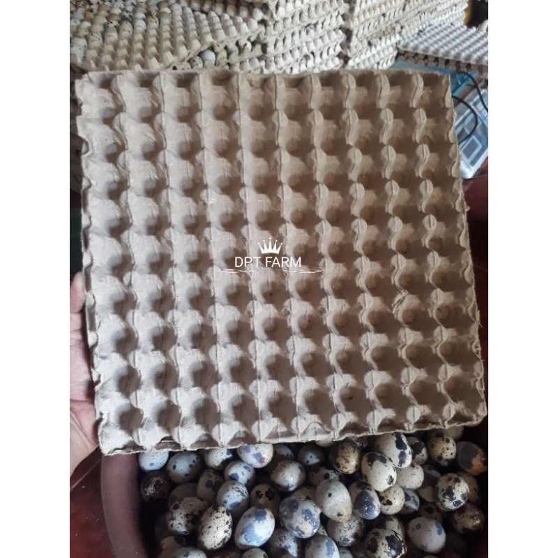 Jual Egg tray Puyuh/Tempat Telur Karton Baru/90 butir | Shopee Indonesia
