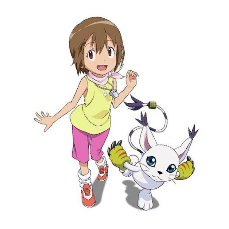 Jual 【Digimon】Bootleg Hikari Yagami/Kari Kamiya and Gatomon action ...