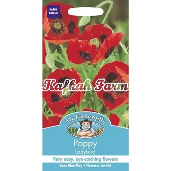 Jual Benih 3 Biji Bunga POPPY Ladybird | Shopee Indonesia