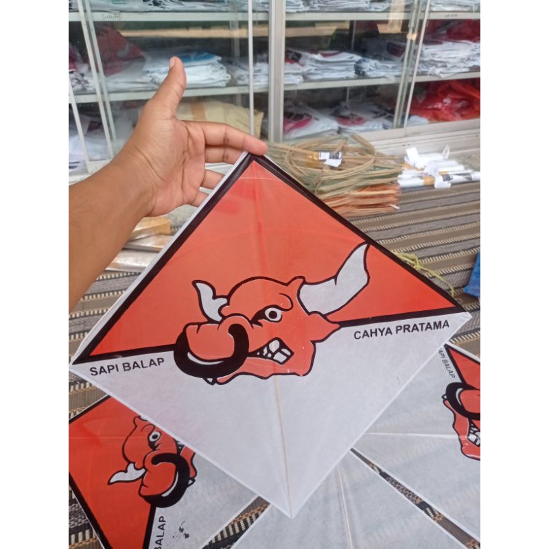 Jual layangan aduan sukhoi sapi balap, dapat 50 pcs | Shopee Indonesia