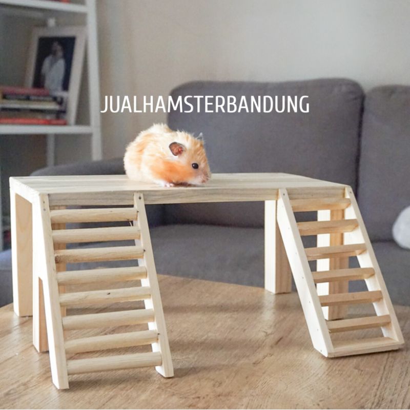 Jual Meja Hamster | Meja dan Jembatan Hamster | Mainan Hamster | Shopee ...
