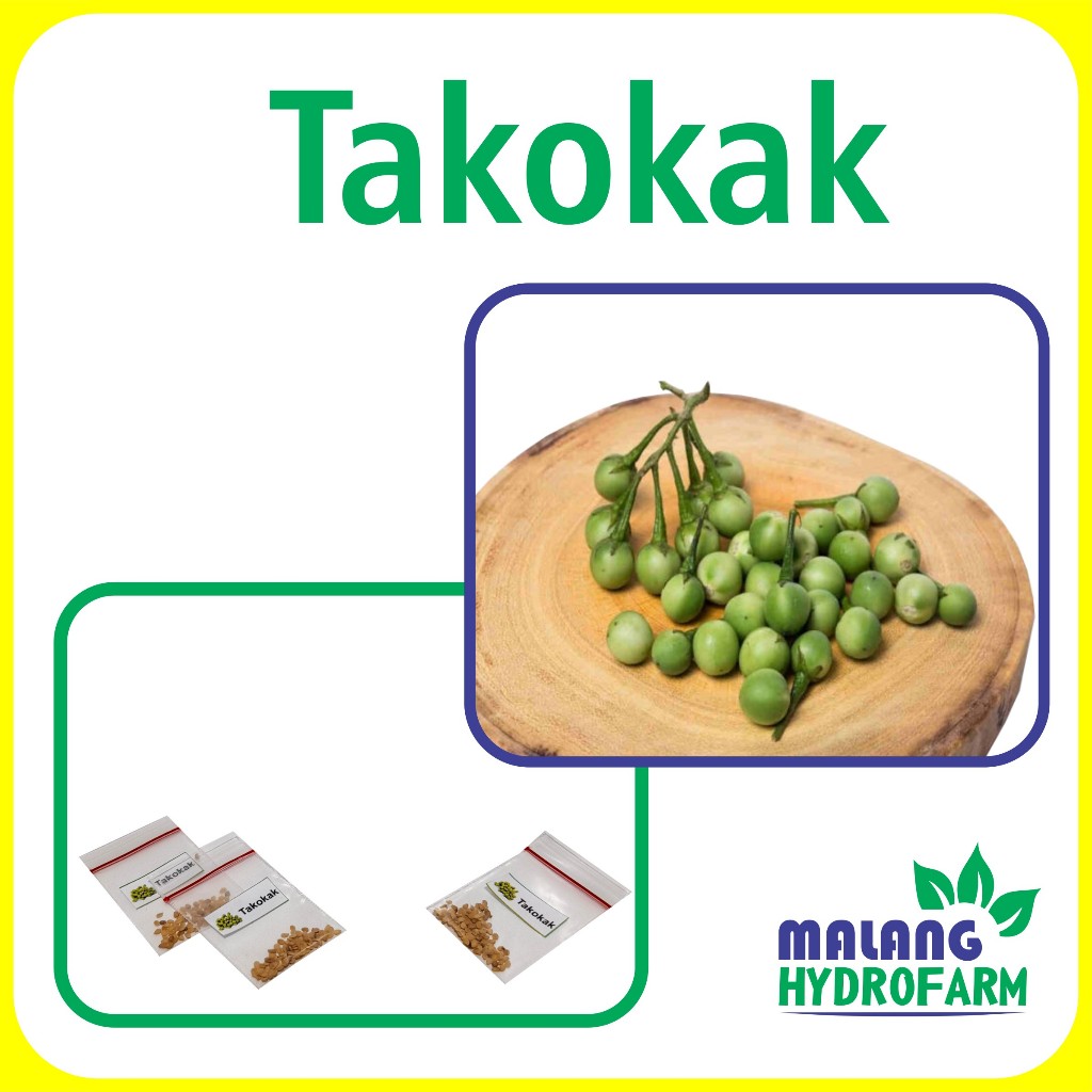 Jual Benih Takokak Unggulan Berkualitas biji bibit repack sayuran sayur ...