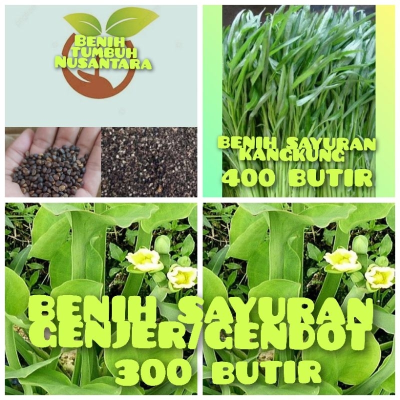 Jual BENIH SAYURAN KANGKUNG, BENIH SAYURAN GENJER/GENDOT | Shopee Indonesia