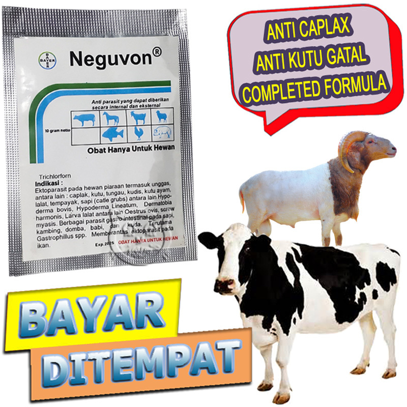 Jual Neguvon Obat Anti Kutu Sapi Kerbau Basmi Parasit Kambing | Shopee ...