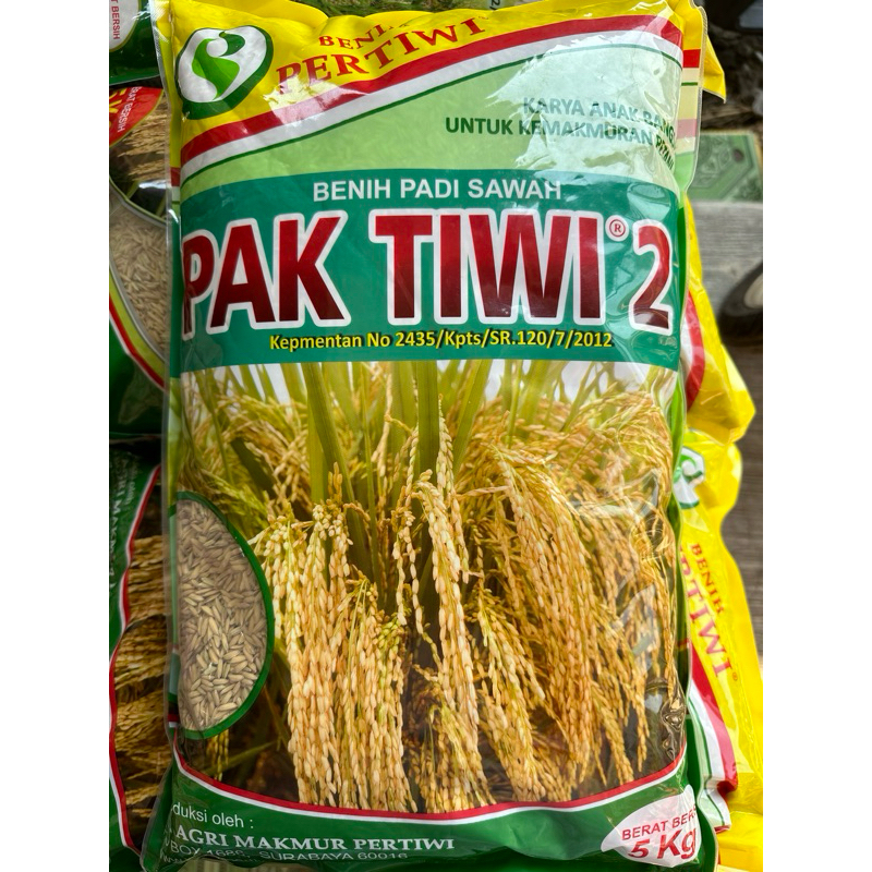 Jual Bibit Padi PERTIWI Inpri 32, Inpari 33, Inpari 42, Pak Tiwi 2 kemasan 5KG (BACA DESKRIPSI ...