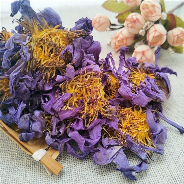 Jual BUNGA LOTUS BIRU KERING / DRIED BLUE LOTUS / DRIED FLOWER / BLUE ...
