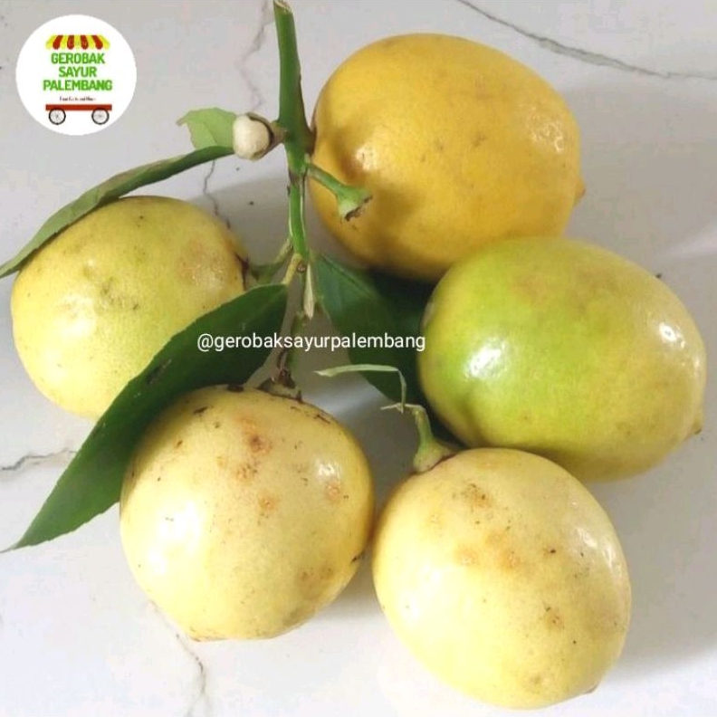 Jual Jeruk Lemon Lokal 250 gr | Shopee Indonesia