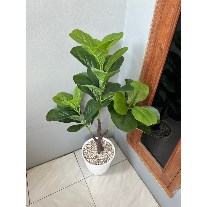 Jual TANAMAN ARTIFICIAL KETAPANG CABANG 3 (sudah termasuk pot) | Shopee ...