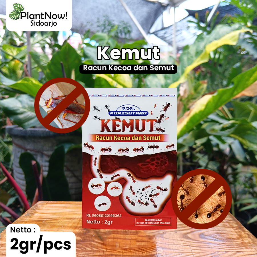 Jual Pembasmi Semut dan Kecoa FIPRONIL KEMUT Sachet 2 gr - 1 Pcs ...