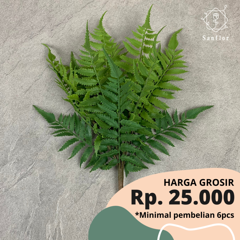 Jual DAUN PAKIS BOSTON/ PAKIS MINI PLASTIK/ TANAMAN ARTIFICIAL ...