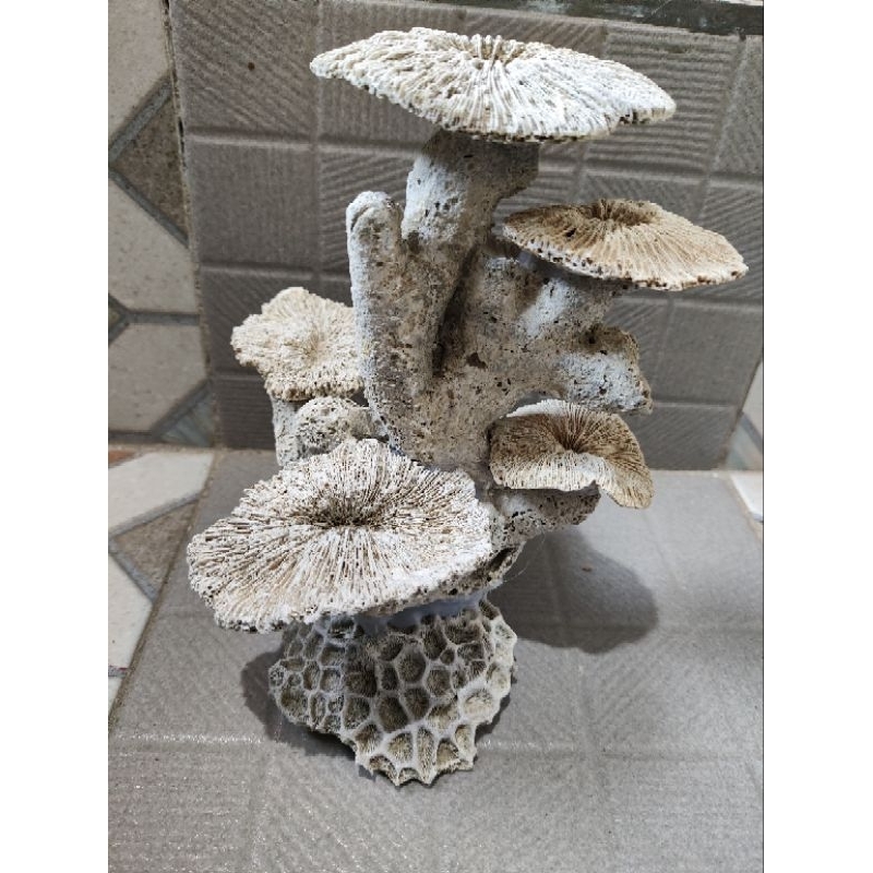 Jual Batu karang custom bahan asli batu karang laut hias aquarium ...