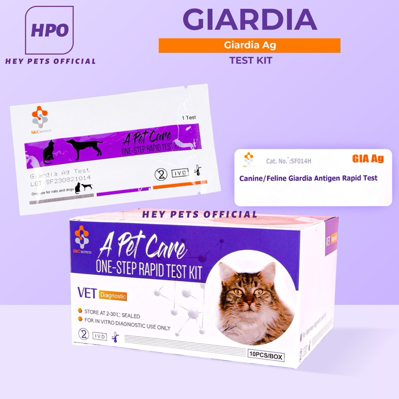 Jual Test Kit Giardia (GIARDIA ag) - Alat Test Virus Kucing (1 pcs ...