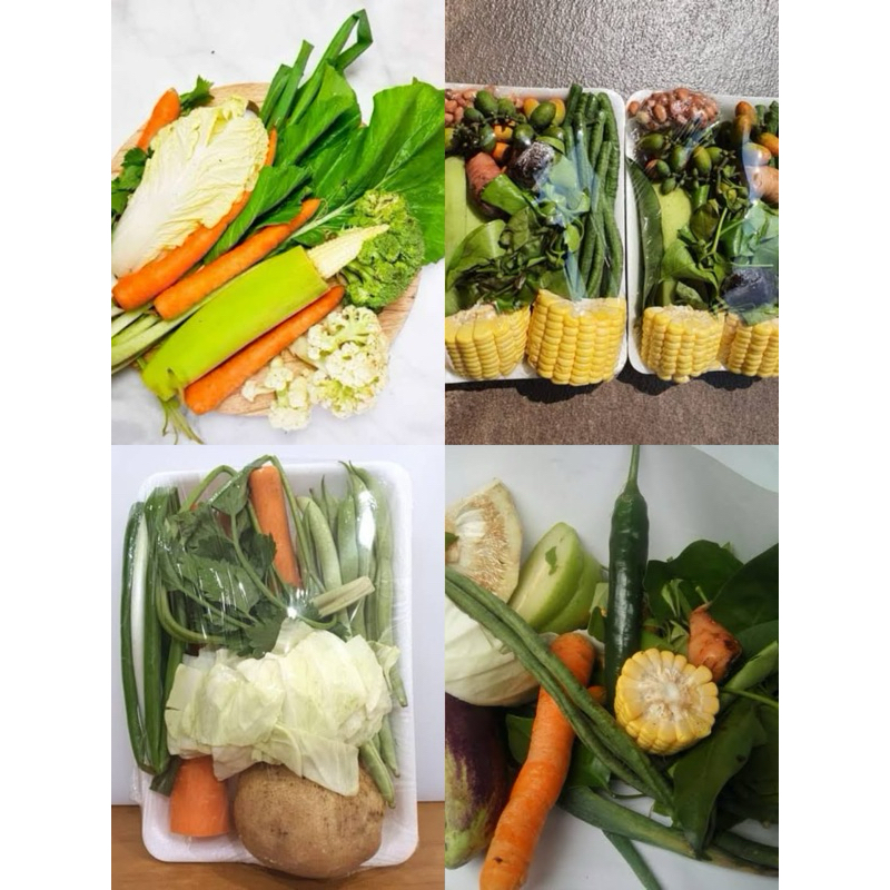 Jual Paket Sayur Sop / Sayur Asem / Sayur Lodeh / Capcay | Shopee Indonesia