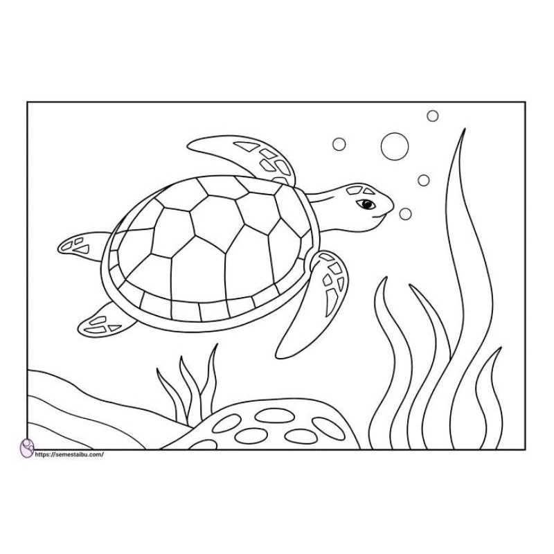 Jual Lembar Mewarnai Anak TK Paud | Media Mewarnai Anak Hvs 75 gsm ...