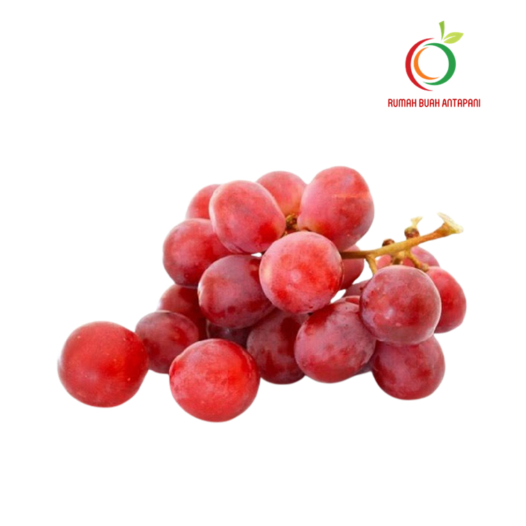 Jual Buah Anggur Merah Red Globe China 250 gram | Shopee Indonesia