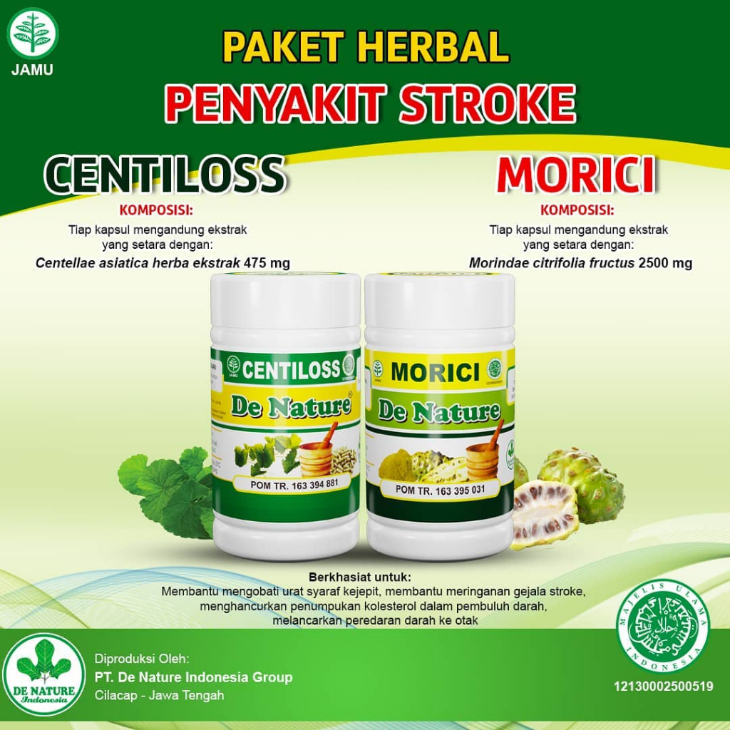 Jual OBAT STROKE RINGAN/MATIRASA/SARAF KEJEPIT/LUMPUH/VERTIGO/FERTIGO ...