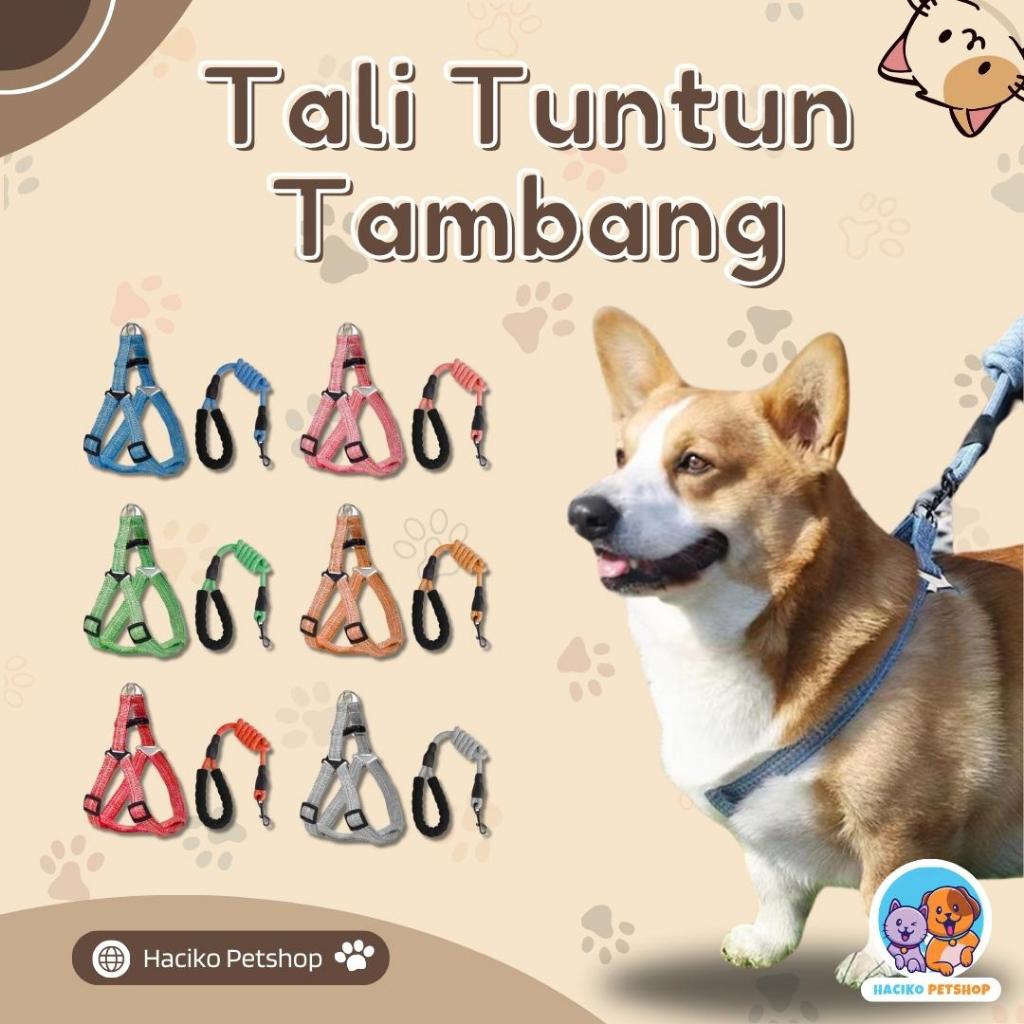 Jual [HACIKO PETSHOP] Set Tali Tuntun Hewan Anjing Kucing Tambang Kuat ...